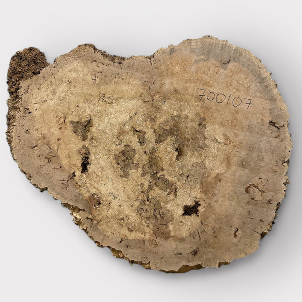 Maple Burl | Buy Maple Burl Wood Slabs Online - KJP Select Hardwoods