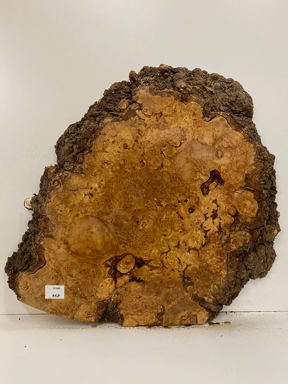 Maple Burl | Buy Maple Burl Wood Slabs Online - KJP Select Hardwoods
