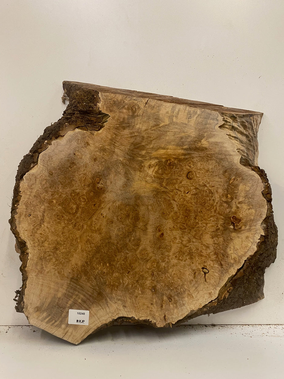 Maple Burl | Buy Maple Burl Wood Slabs Online - KJP Select Hardwoods