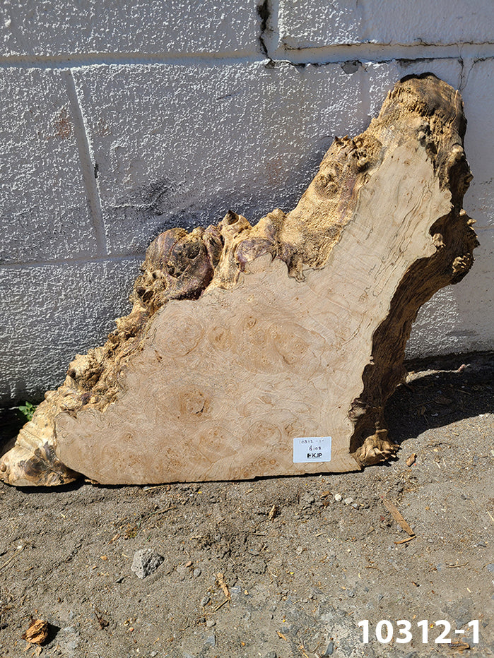 Maple Burl | Buy Maple Burl Wood Slabs Online - KJP Select Hardwoods