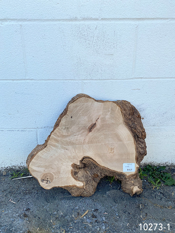Maple Burl | Buy Maple Burl Wood Slabs Online - KJP Select Hardwoods
