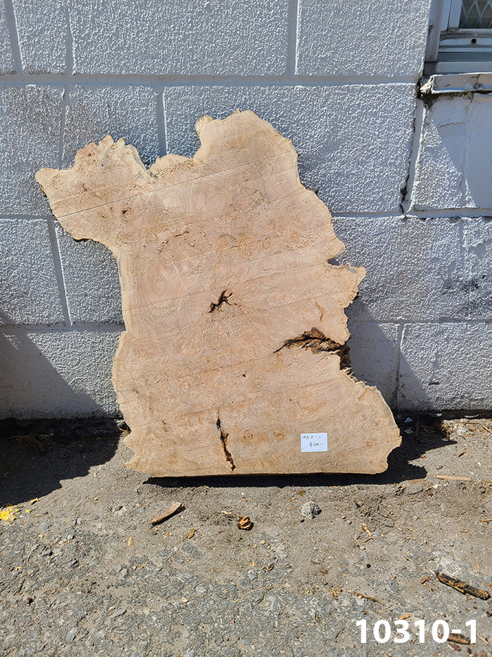 Maple Burl | Buy Maple Burl Wood Slabs Online - KJP Select Hardwoods