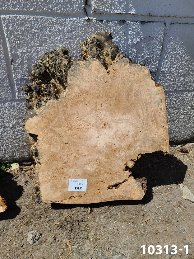 Maple Burl | Buy Maple Burl Wood Slabs Online - KJP Select Hardwoods