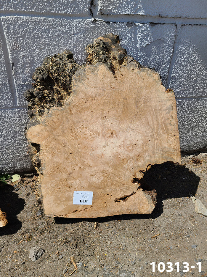 Maple Burl Slabs — KJP Select Hardwoods