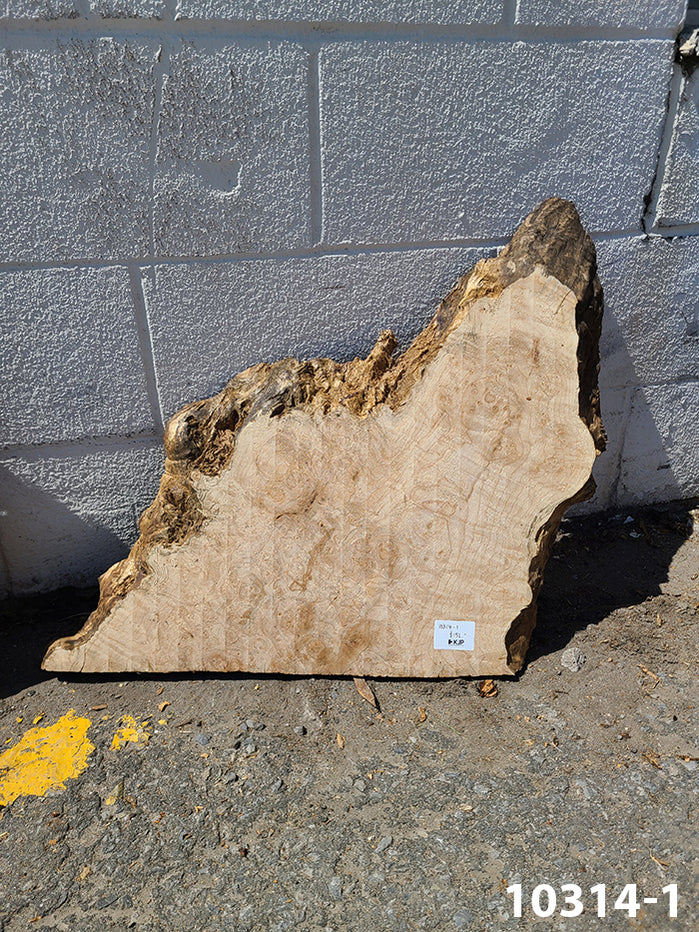 Maple Burl | Buy Maple Burl Wood Slabs Online - KJP Select Hardwoods