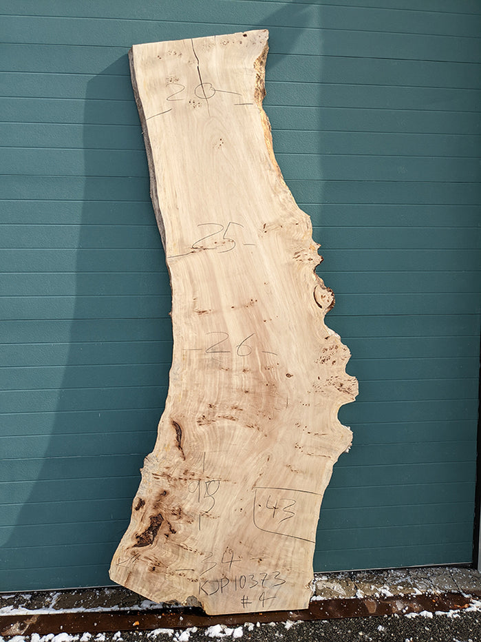 Mappa Burl — KJP Select Hardwoods