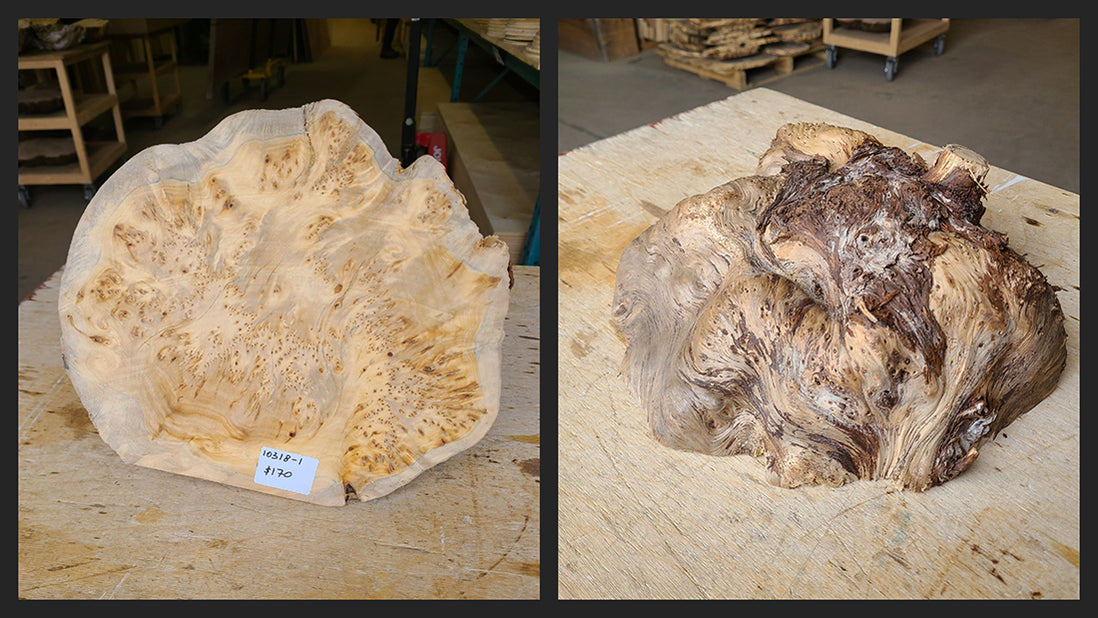 Yellow Cedar Burl — KJP Select Hardwoods